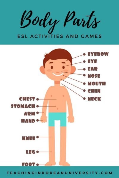 Body Parts ESL Games, Activities, Worksheets & Lesson Plans