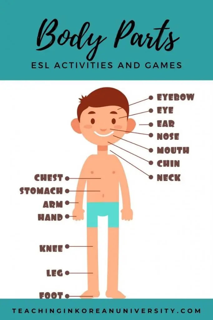 Body Parts ESL Games, Activities, Worksheets & Lesson Plans