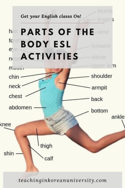 Body Parts ESL Games, Activities, Worksheets & Lesson Plans